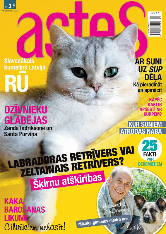 Astes / Santa / Žurnāls