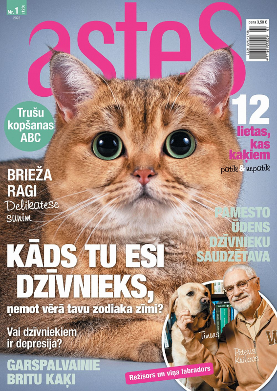 Astes / Santa / Žurnāls