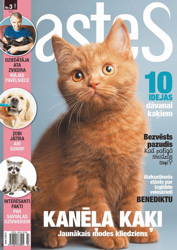 Astes / Santa / Žurnāls