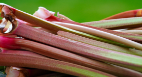 Rabarberu un medus pīrāgs — Santa