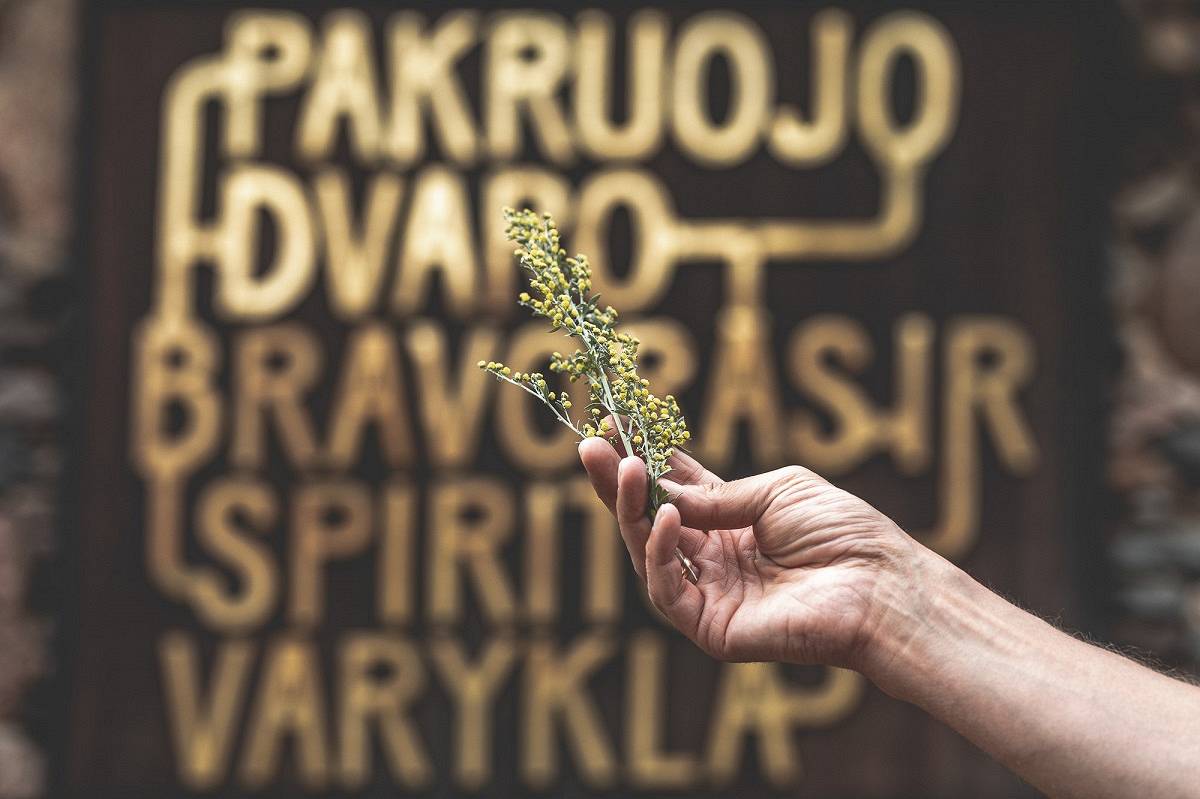 Latvijā ienāk Pakrojas muižas spirta brūža dzērieni — Santa