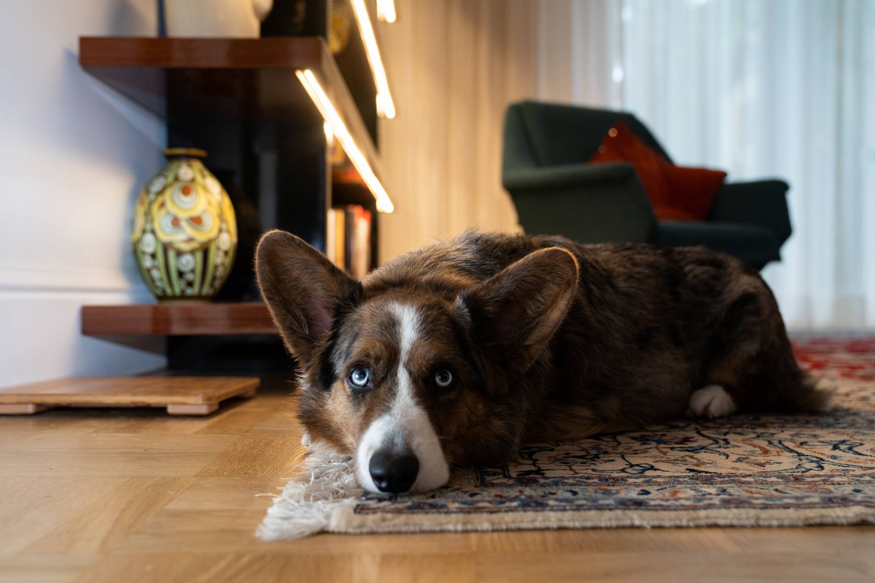 FOTO: Apskati, kā Jūrmalā dzīvo skandalozā Krievijas žurnāliste Božena ...