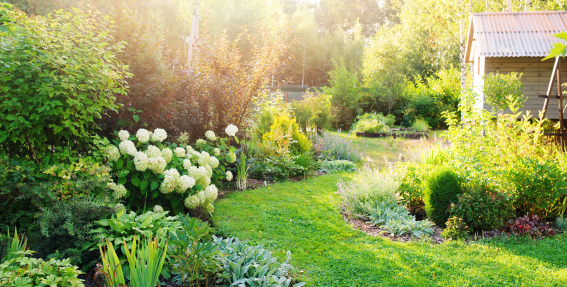 Piparkūku minikūciņas — Santa